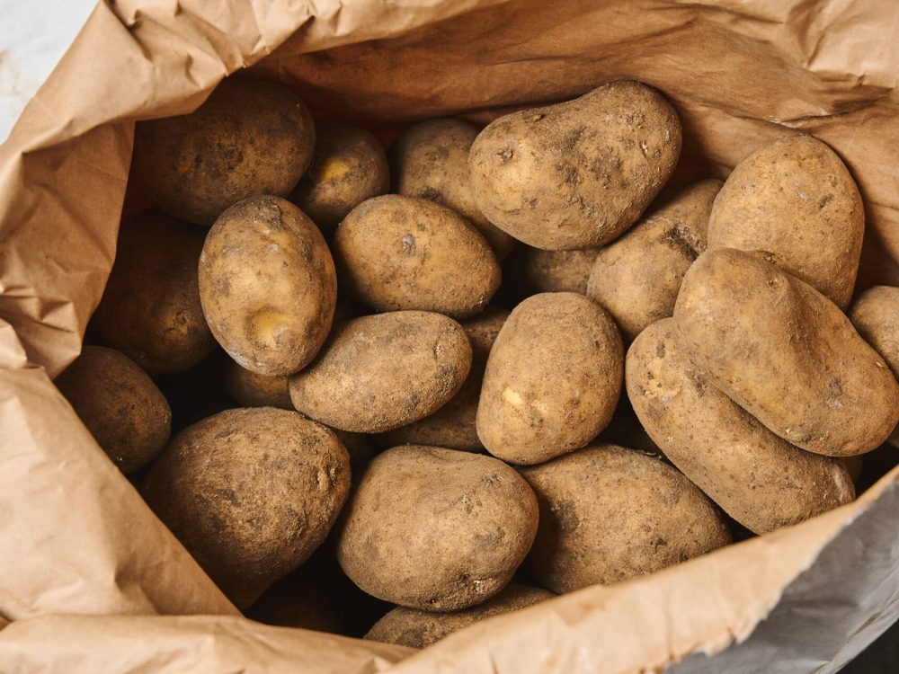 Sea Salt + Sole | Award Winning Fresh Fish + Chips